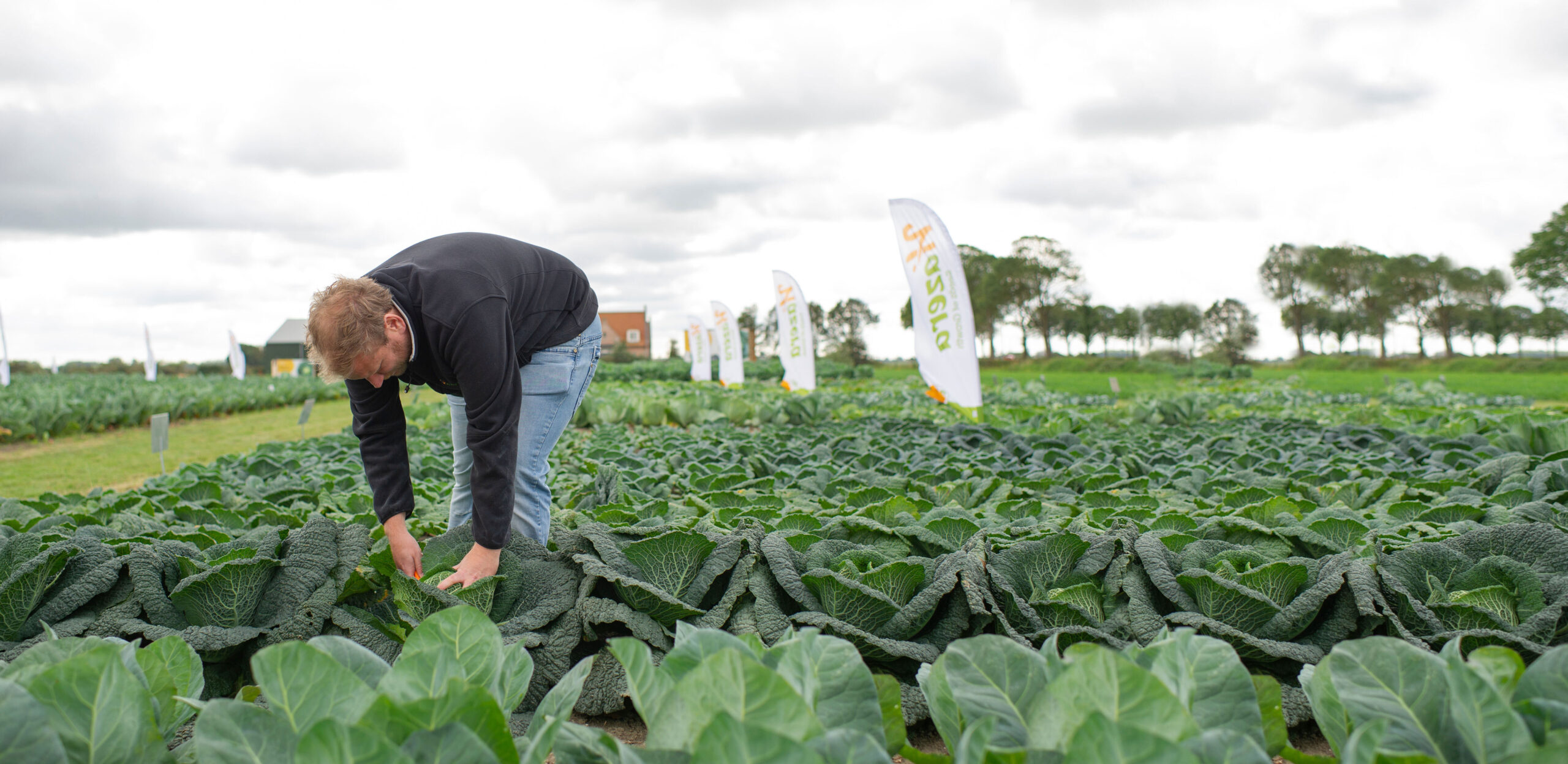 Success Stories | Hazera South Africa - Proven Crop Solutions