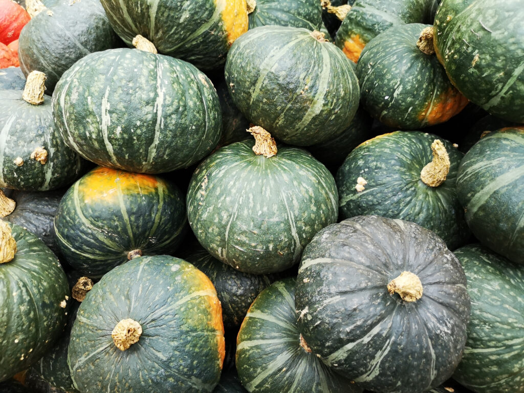 Squash Archives - South Africa