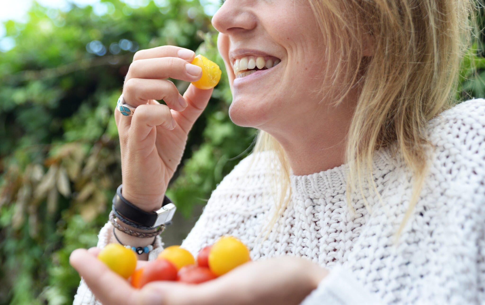 Spotlight on tomatoes: Opportunities and challenges in store - South Africa