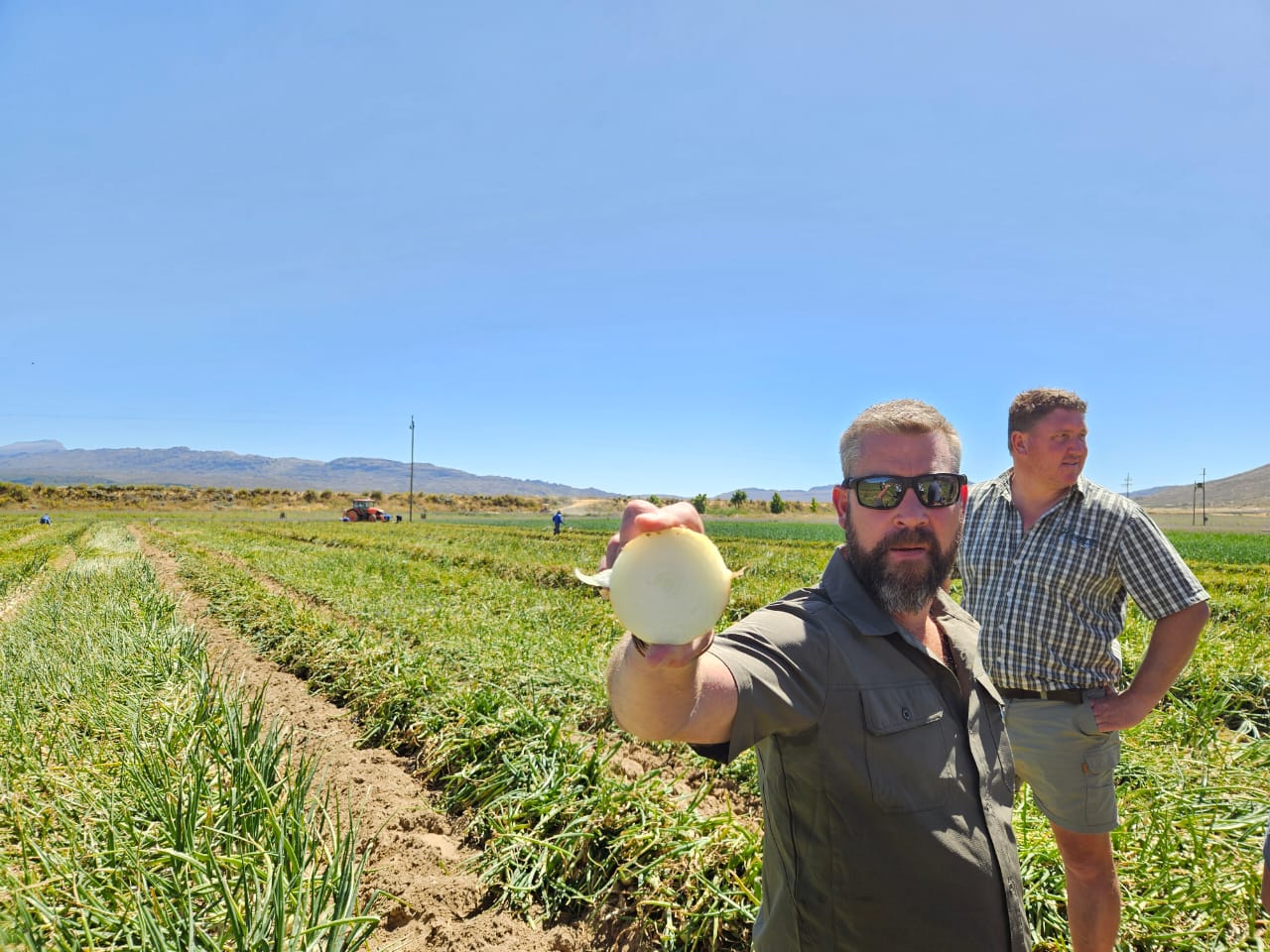 High-Quality Seeds for Profitable Farming | Hazera South Africa