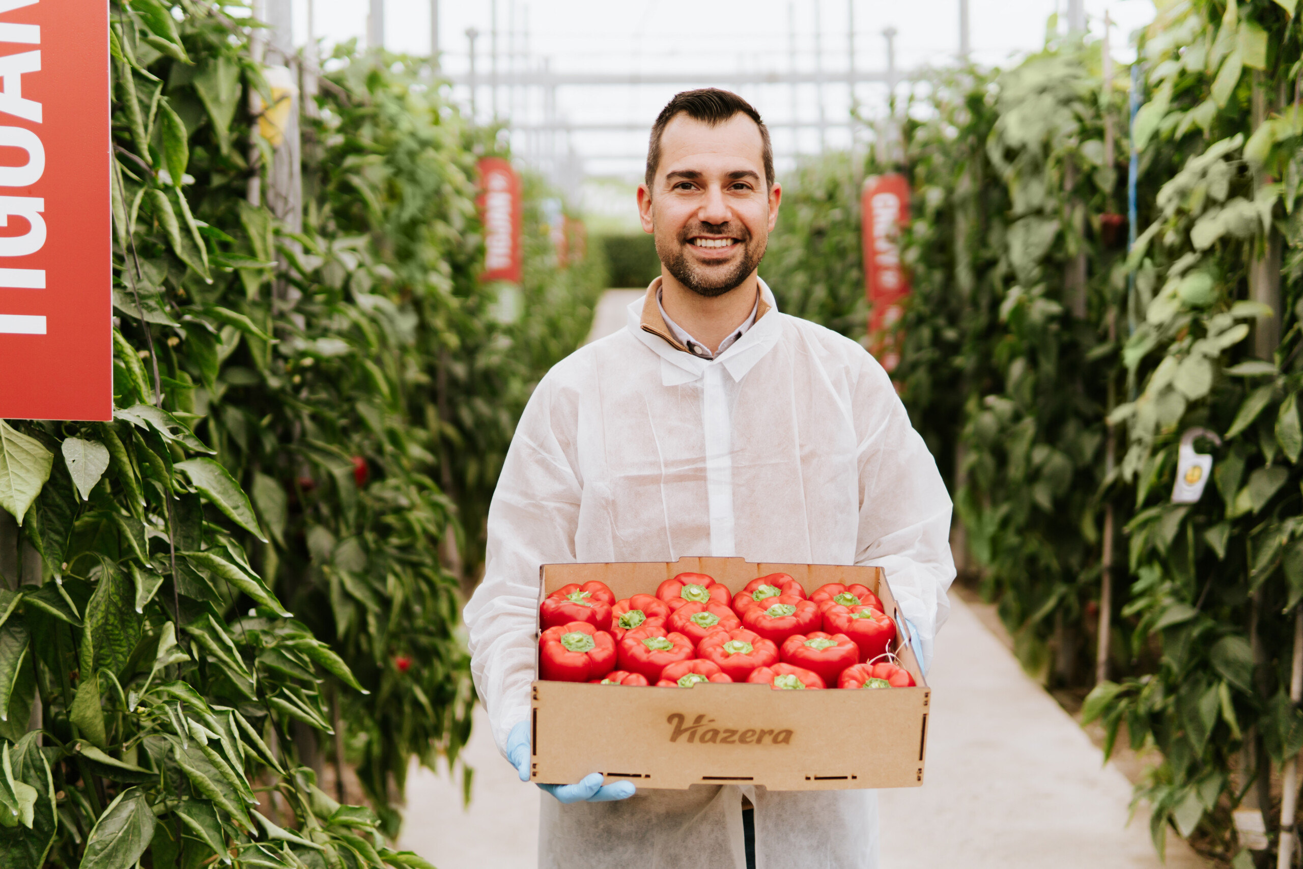 Hazera’s peppers: Multi colored quality - South Africa