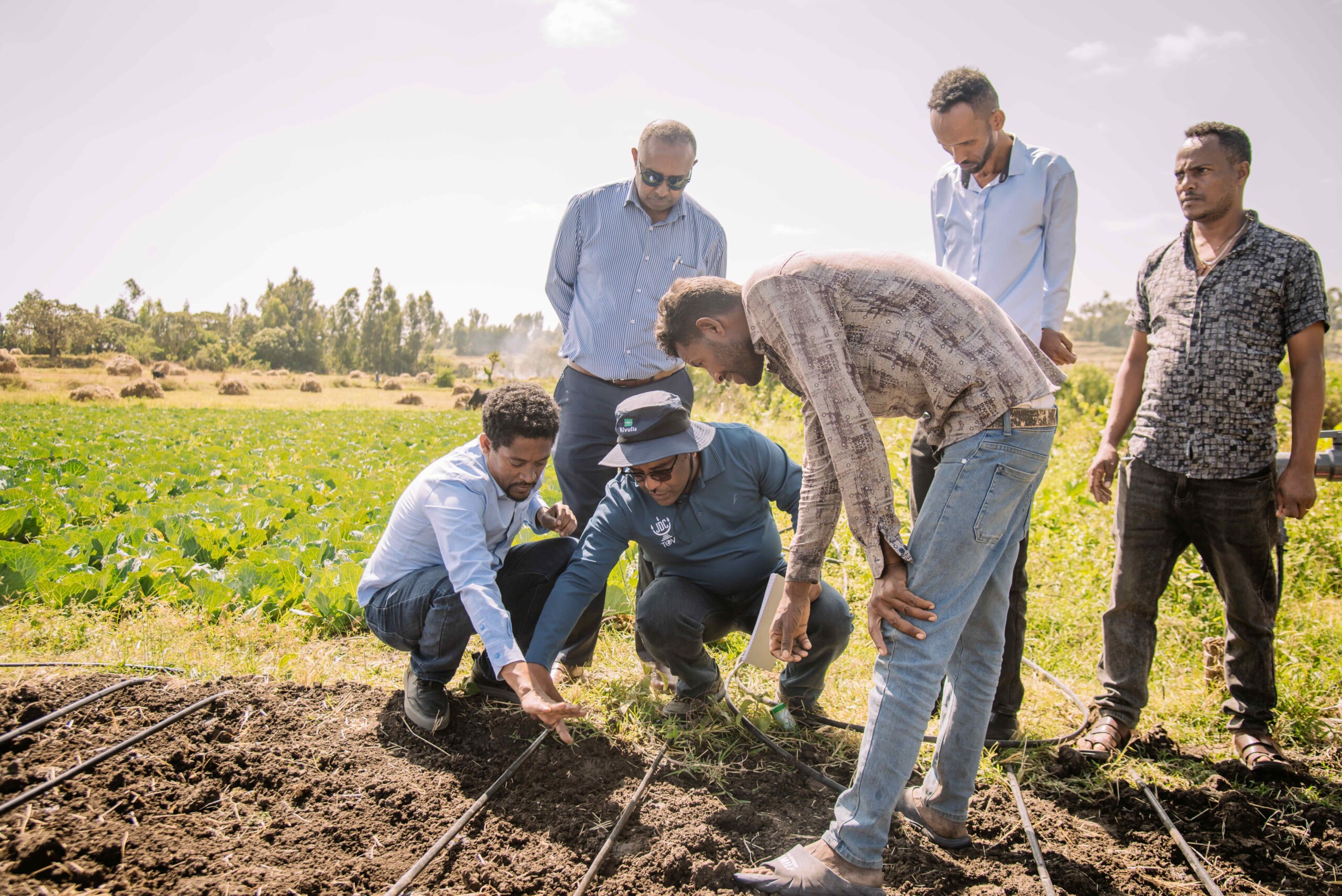 Empowering Ethiopian farmers – a successful collaboration between ...