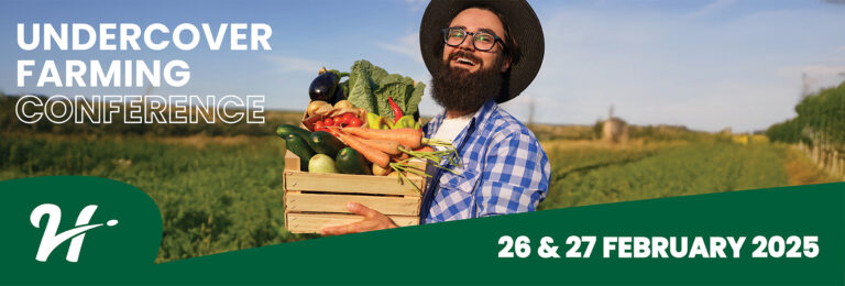 High-Quality Seeds for Profitable Farming | Hazera South Africa